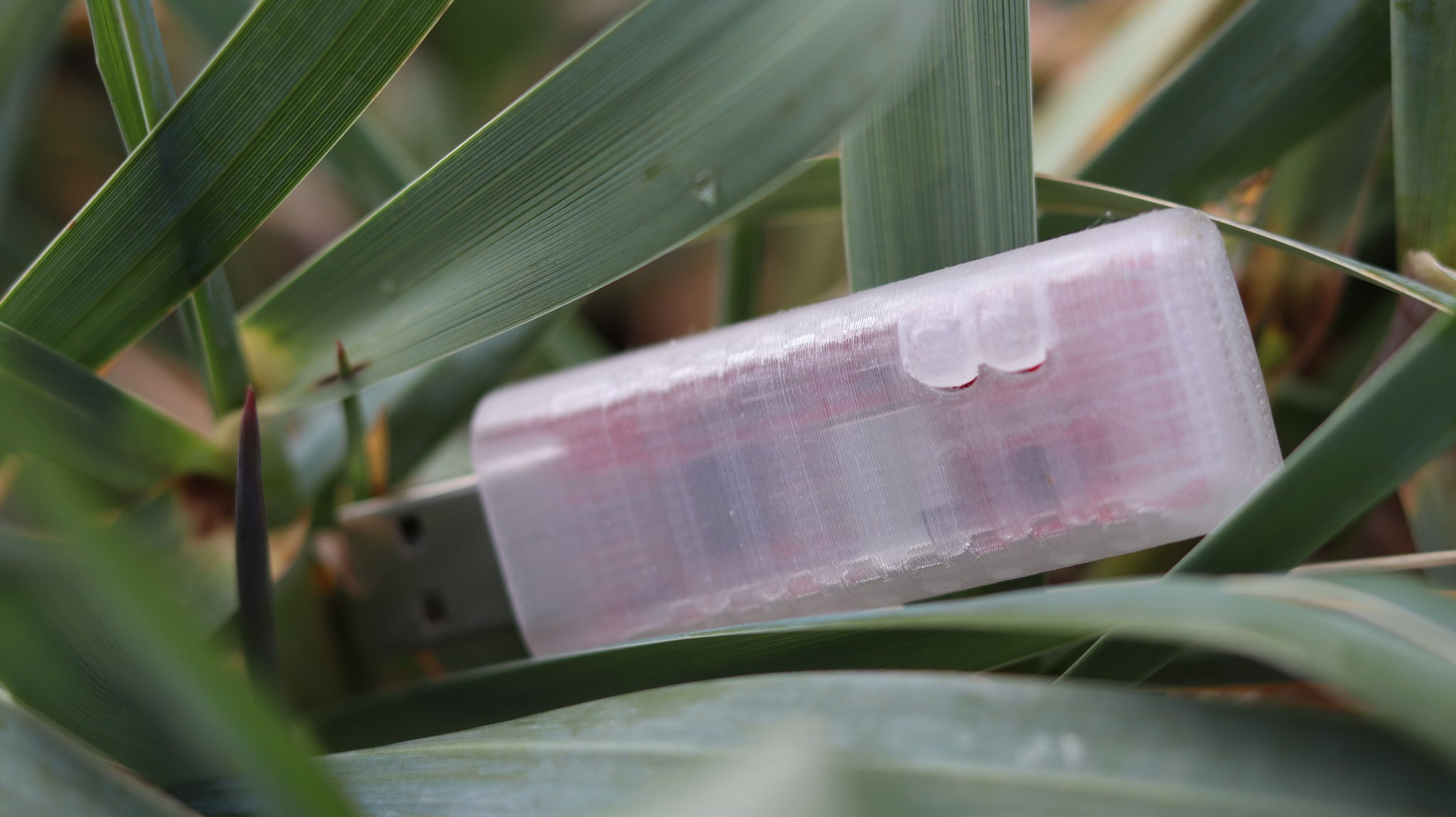 Squid Stick ELRS Dongle - Limited Colors – The Squid Stop