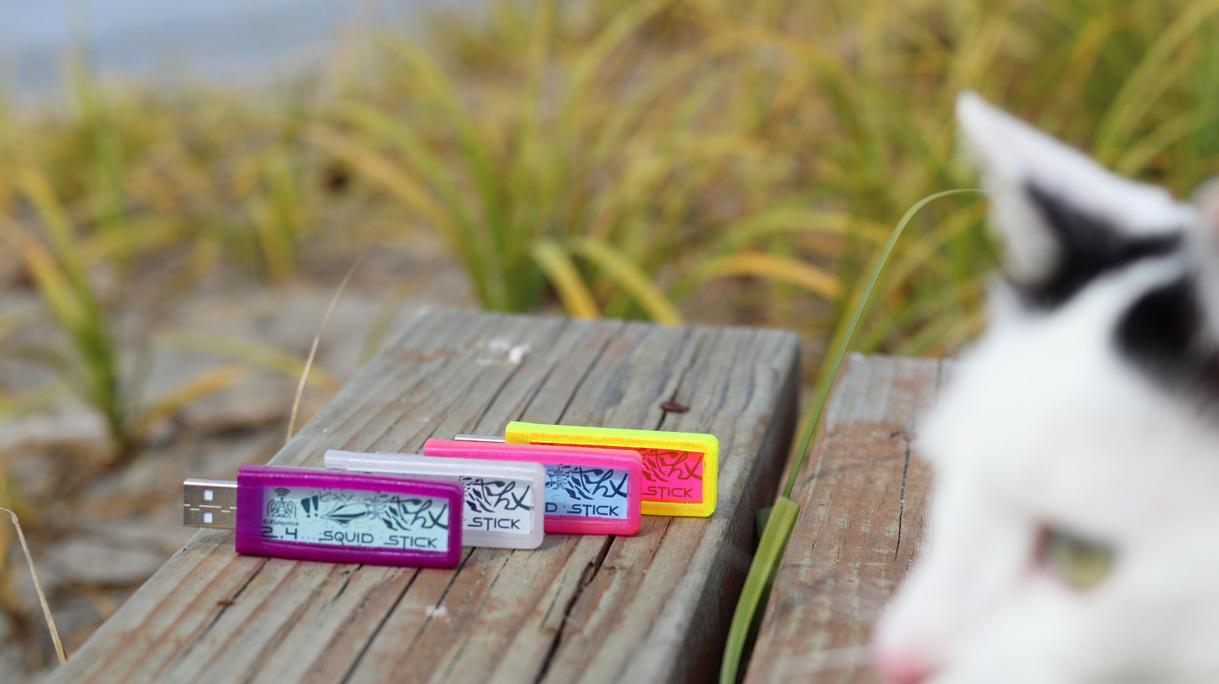 Squid Stick ELRS Simulator Dongle – The Squid Stop